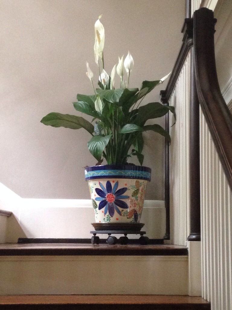 20140527-142516-51916233.jpg – Sharon Holbrook, Writer